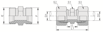 1C/1D